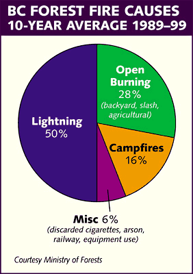 forest fire causes statistics