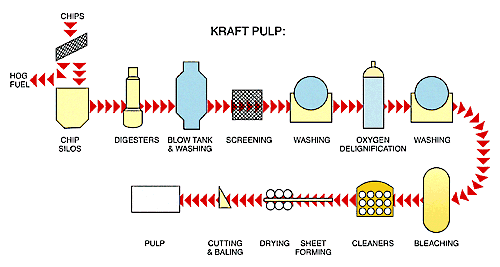 Pulp and Paper -- KnowBC - the leading source of BC information