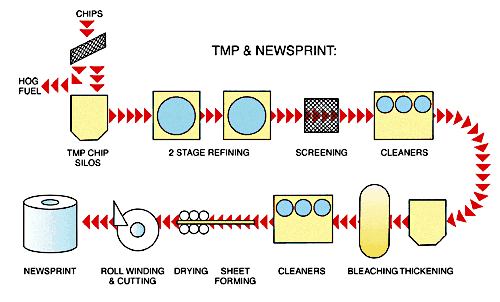 Pulp and Paper -- KnowBC - the leading source of BC information